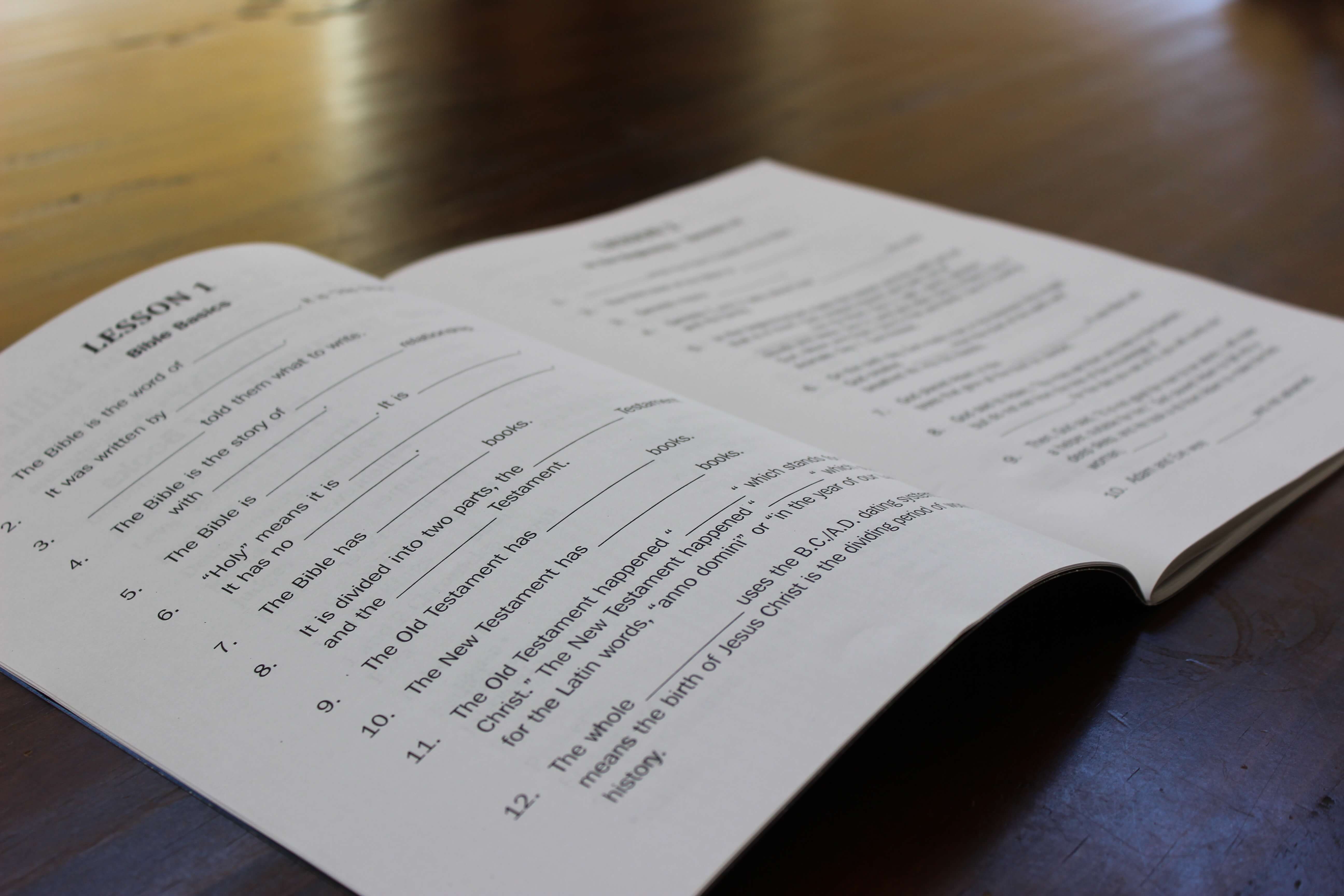 Curriculum – Teach The Whole Bible